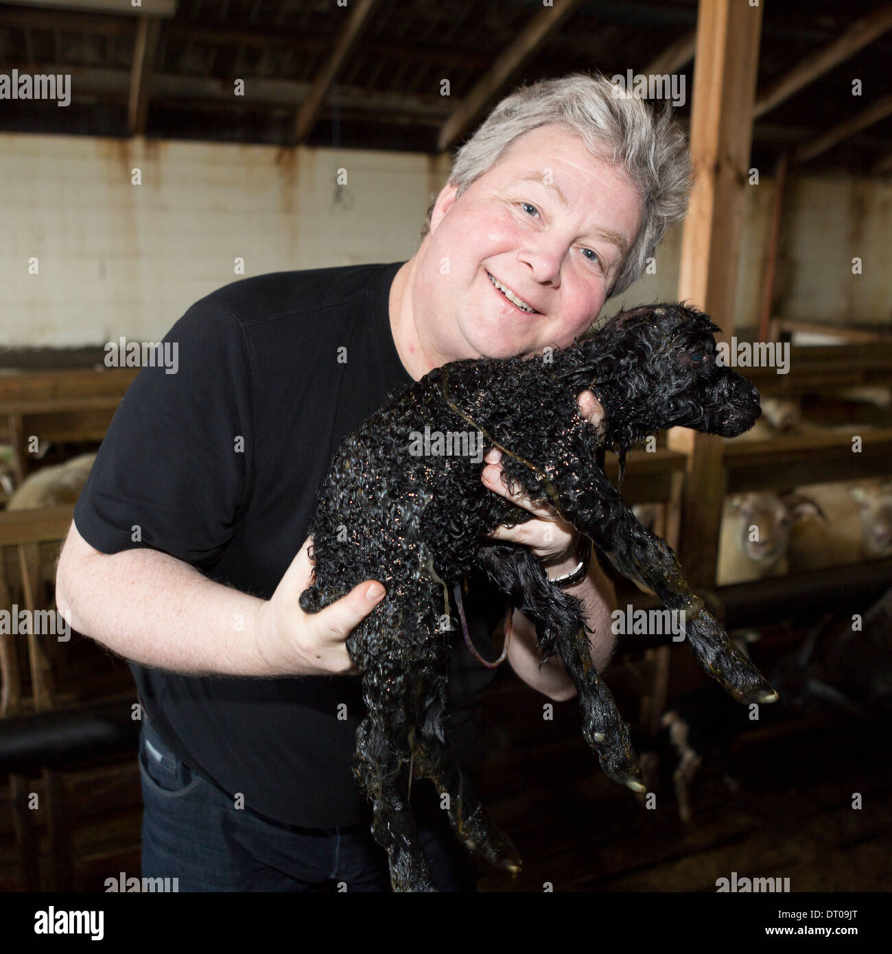 Lamb young man hi-res stock photography and images - Alamy