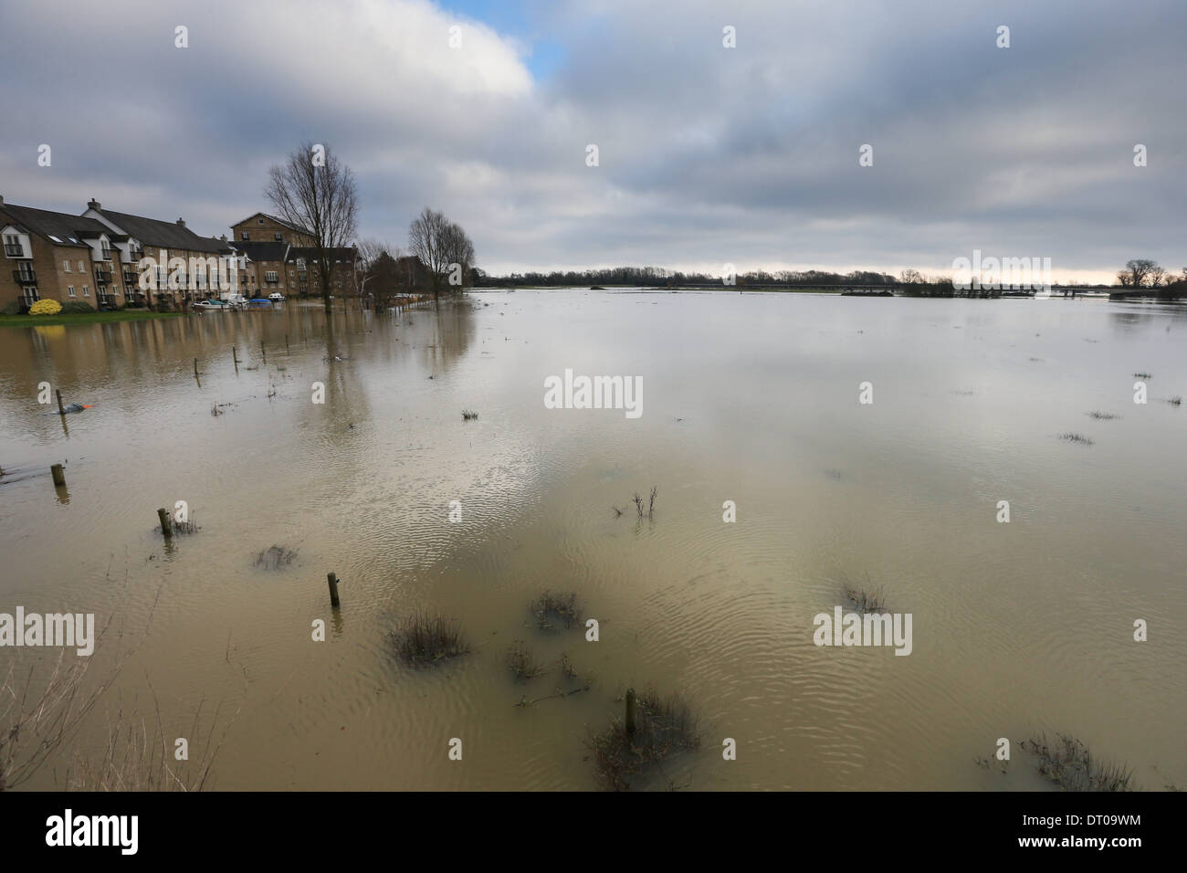 Flooding in st ives cambridgeshire hi-res stock photography and images ...