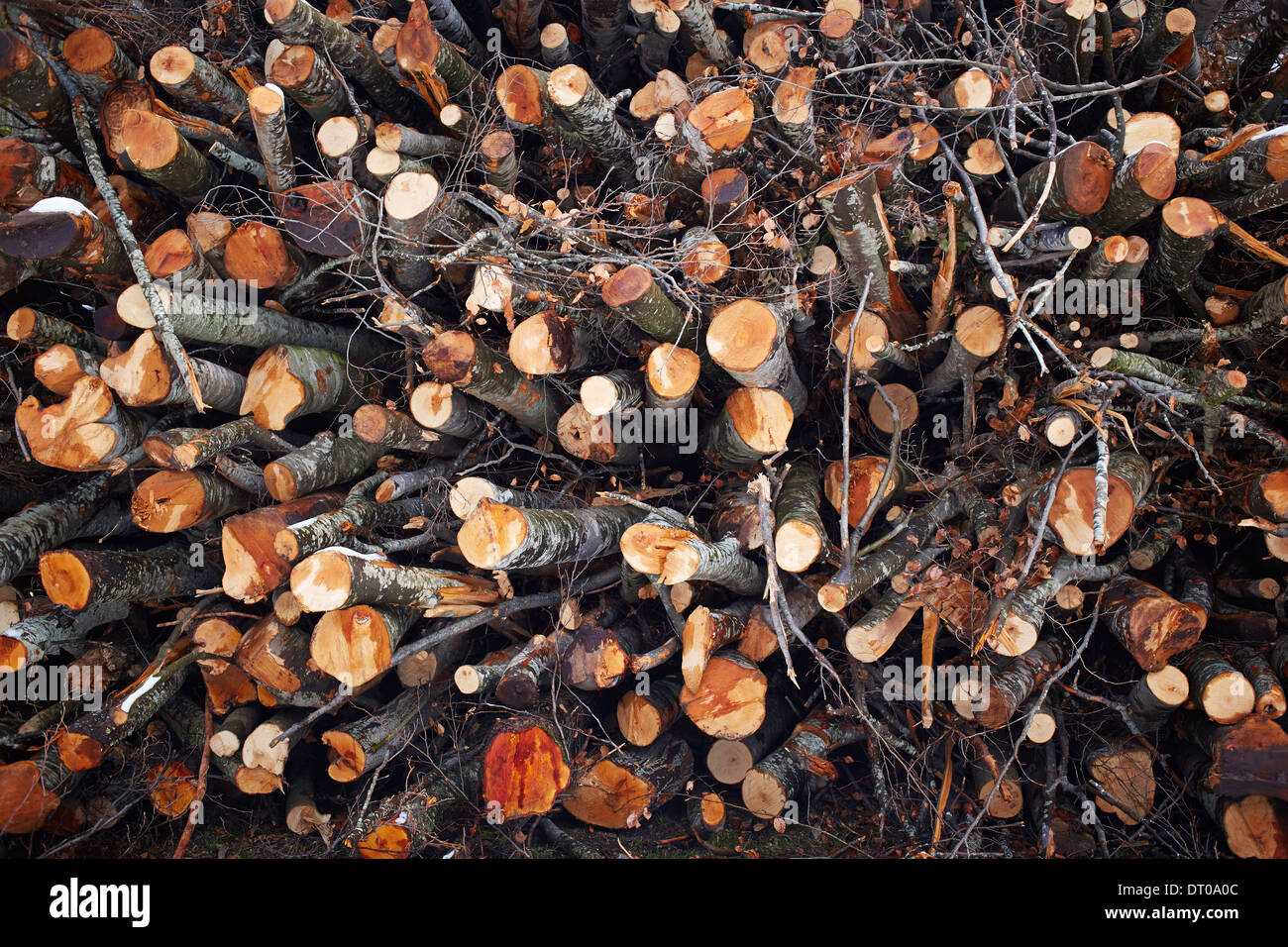 Log stack hi-res stock photography and images - Alamy