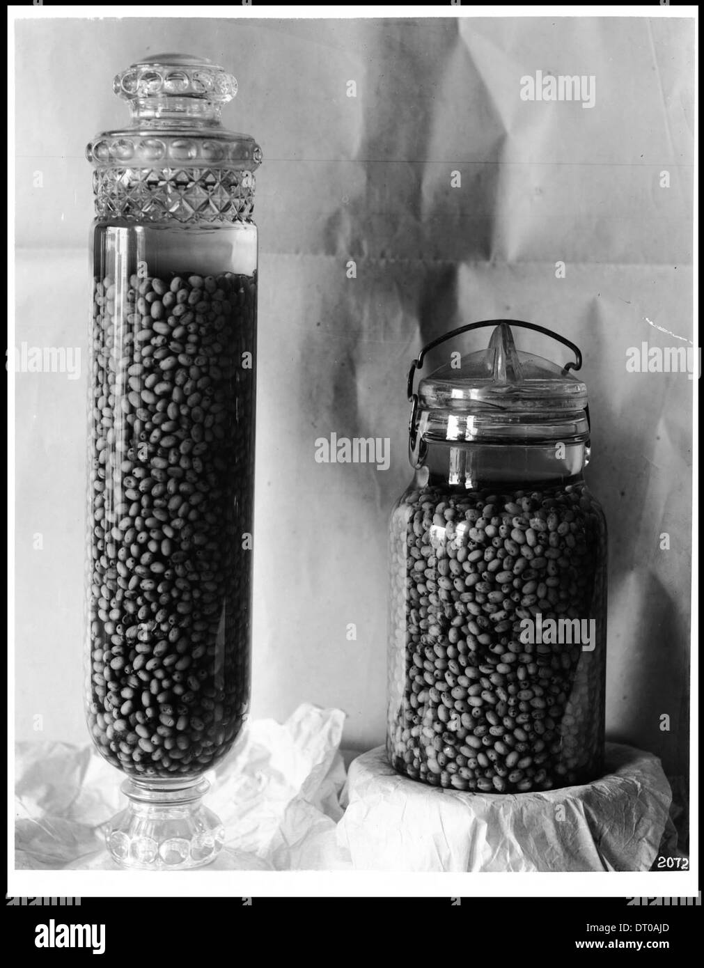 Oil preservation method hi-res stock photography and images - Alamy