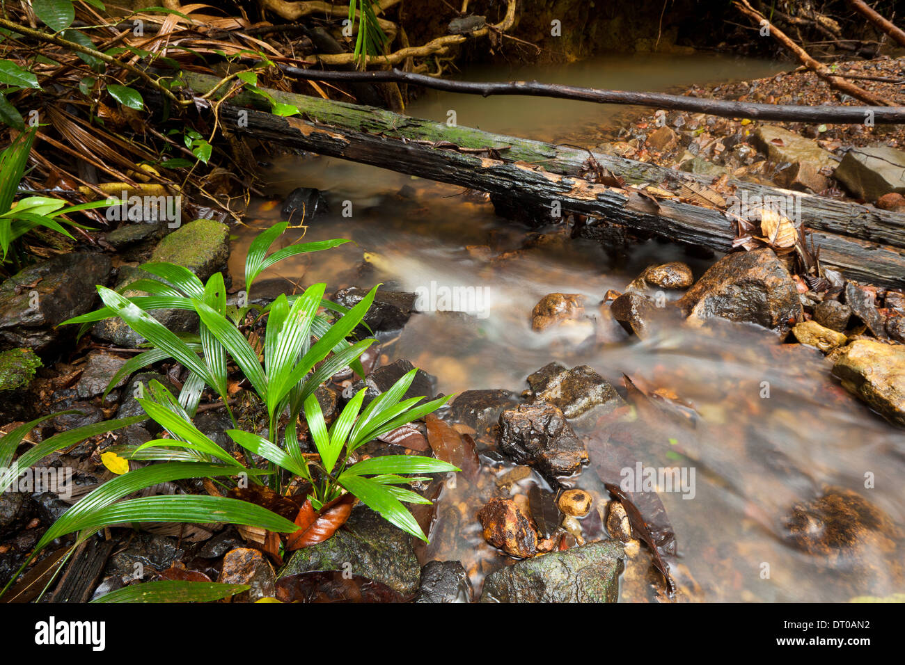 Wet and dry season rivers hi-res stock photography and images - Alamy