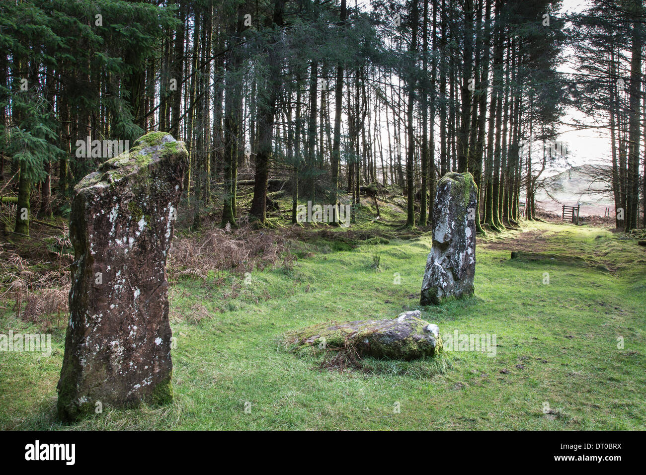 Kilmore Standing Stones at Dervaig on the Isle of Mull in Scotland ...