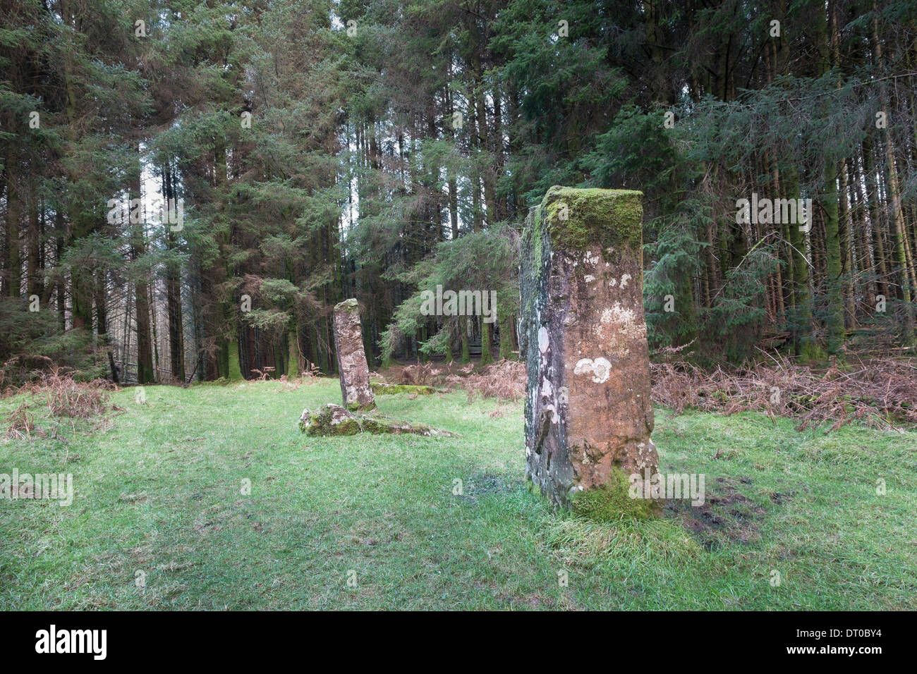 Kilmore Standing Stones at Dervaig on the Isle of Mull in Scotland ...