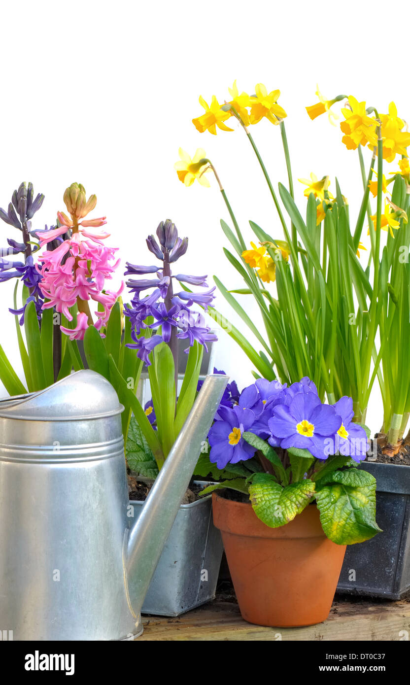 Watering flowers in spring hi-res stock photography and images - Alamy