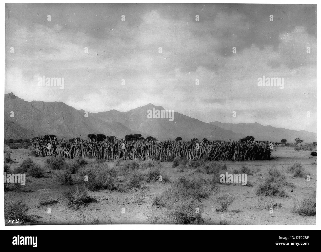 Pima indians hi-res stock photography and images - Alamy