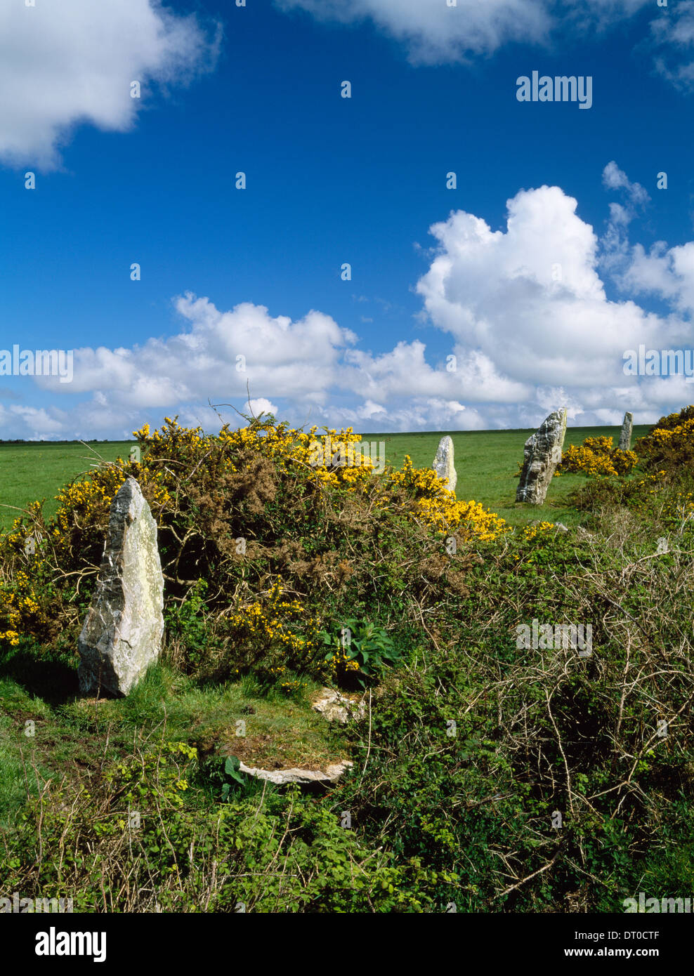 Nine maidens stone row hi-res stock photography and images - Alamy