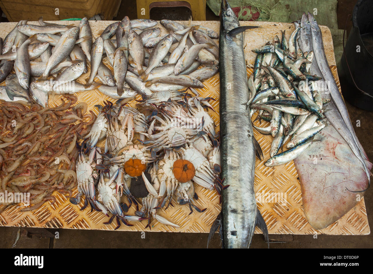 Fish catch display hi-res stock photography and images - Alamy