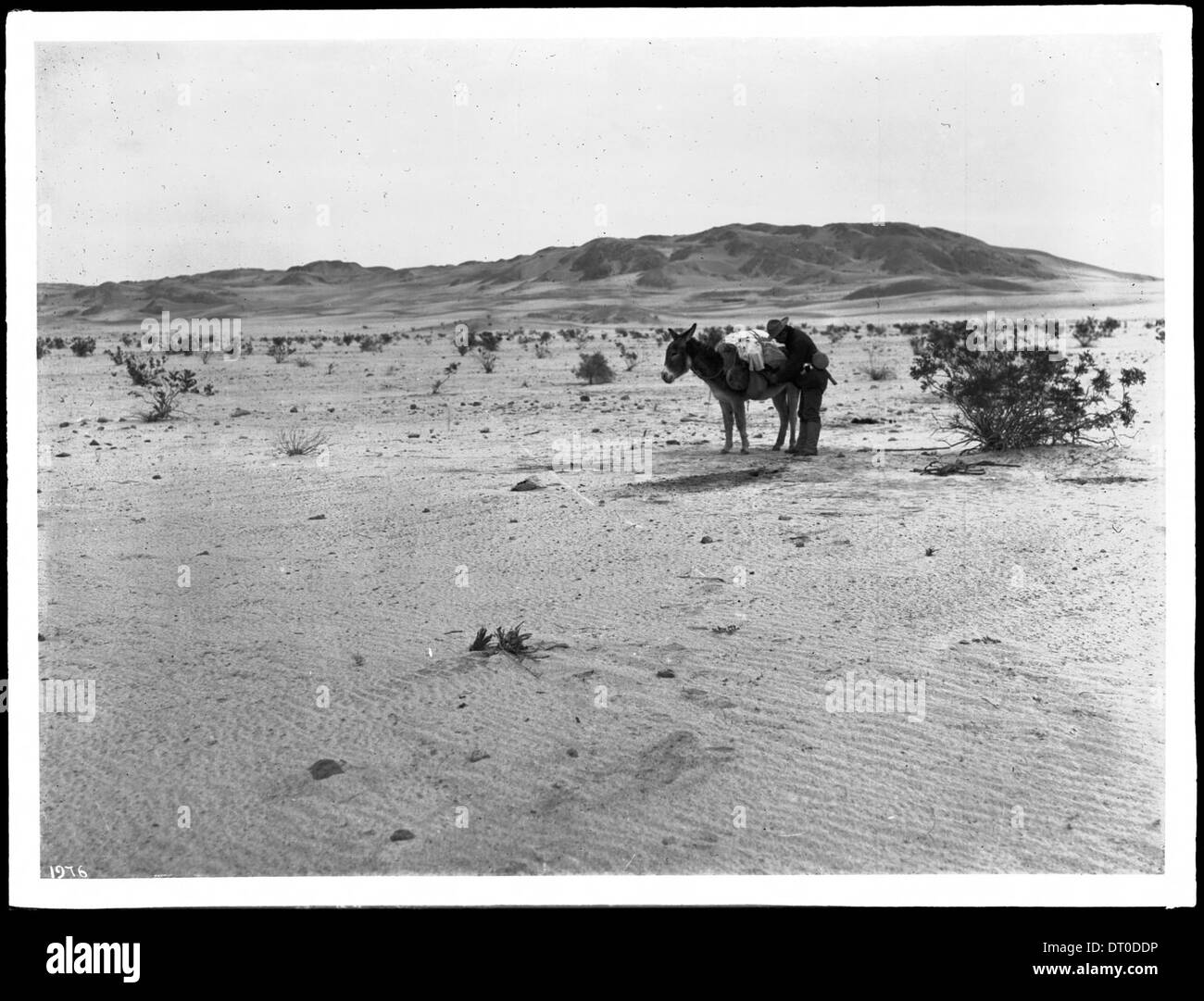 Vintage peg leg hi-res stock photography and images - Alamy