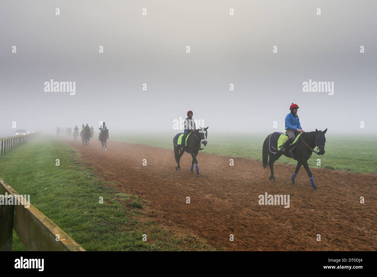 Early morning gallops hi-res stock photography and images - Alamy