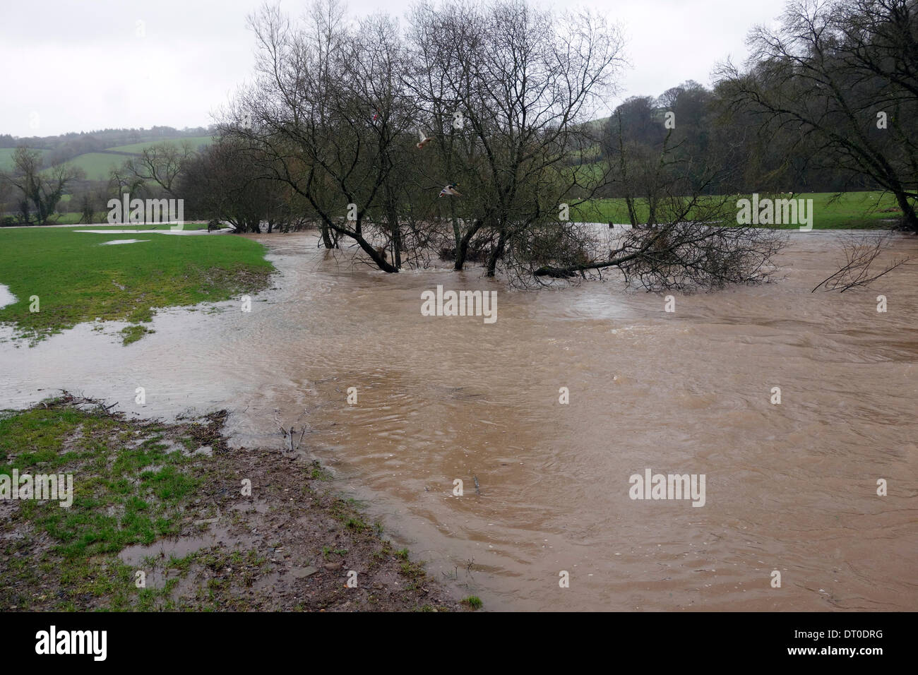 Devon news hi-res stock photography and images - Alamy