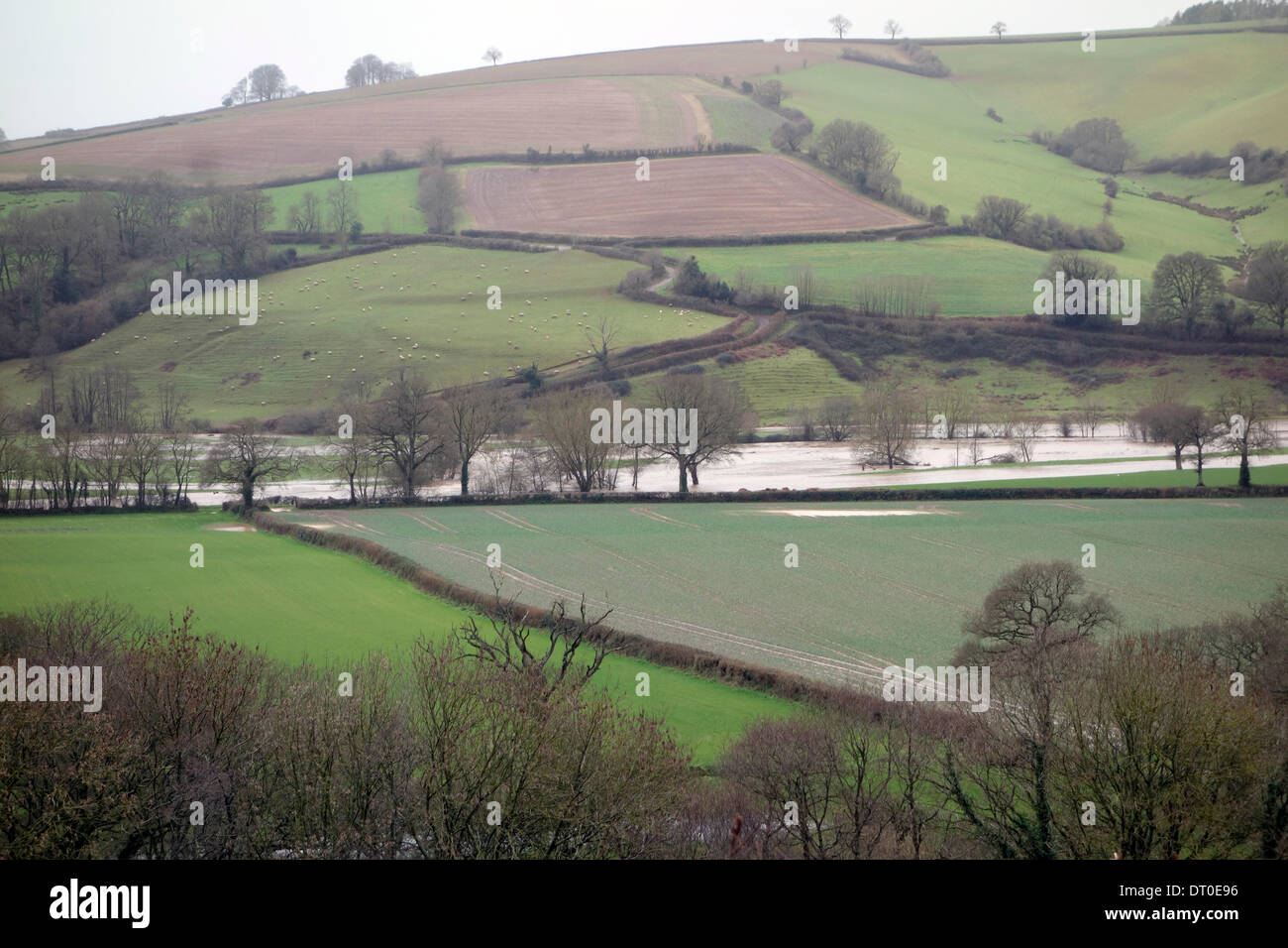 Flooding winter devon river spate hi-res stock photography and images ...