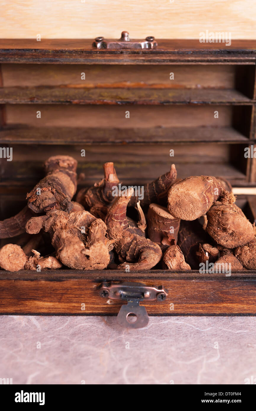 Dried galangal root in the wooden box Stock Photo - Alamy