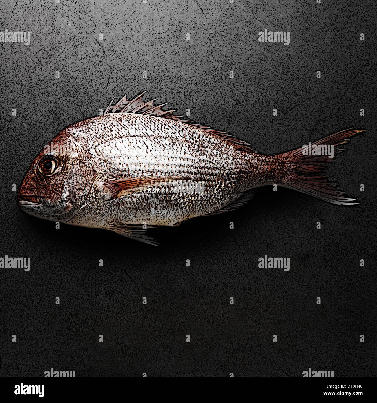 Edible fish poster hi-res stock photography and images - Alamy