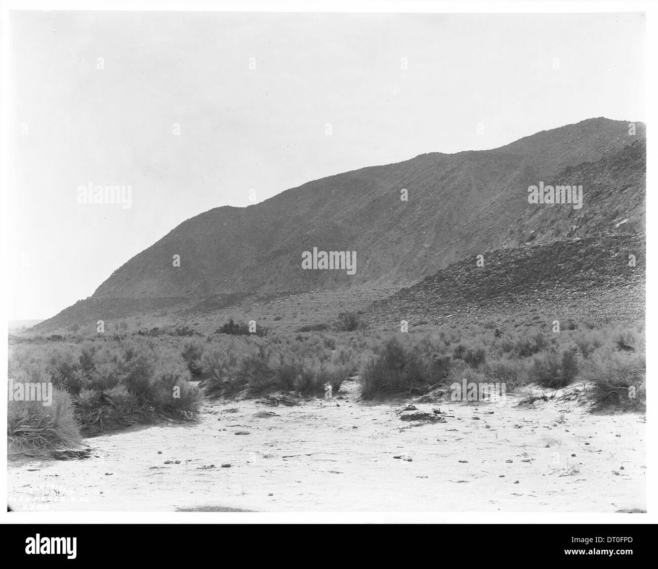 Prehistoric ca hi-res stock photography and images - Alamy