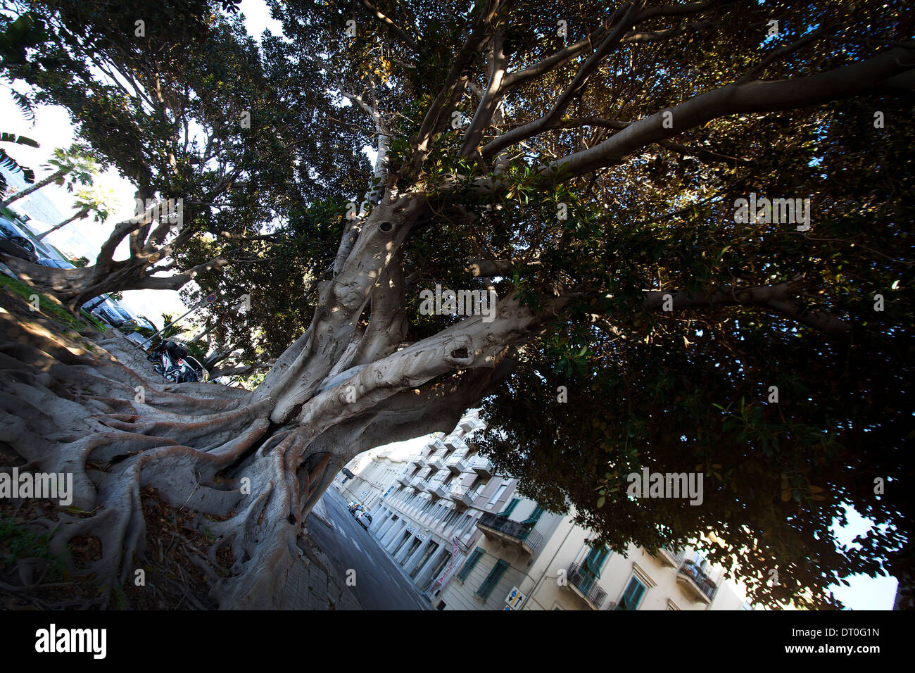 Europe, Italy, Calabria, Reggio Calabria, The City centre Stock Photo ...