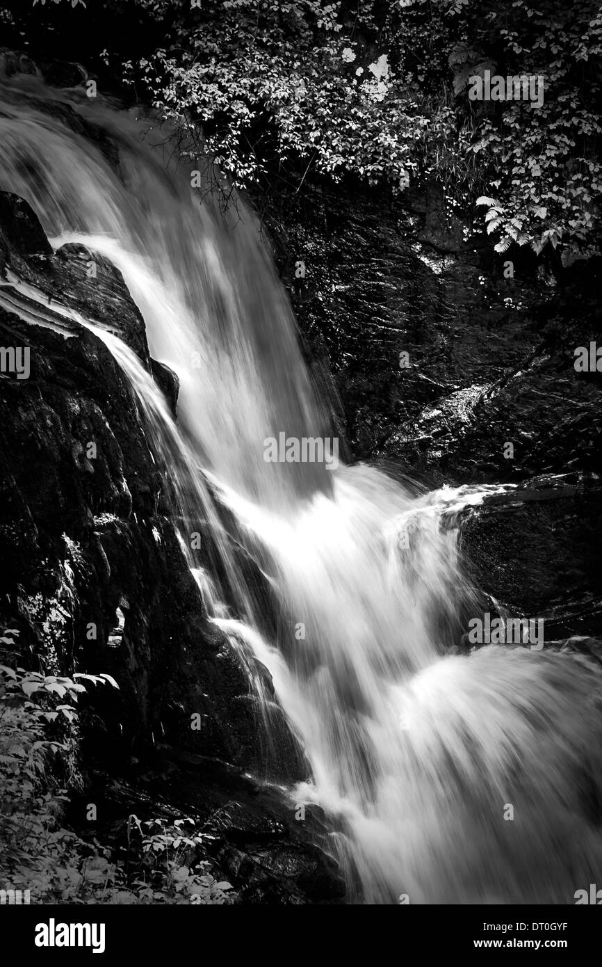 Our tiered Black and White Stock Photos & Images - Alamy