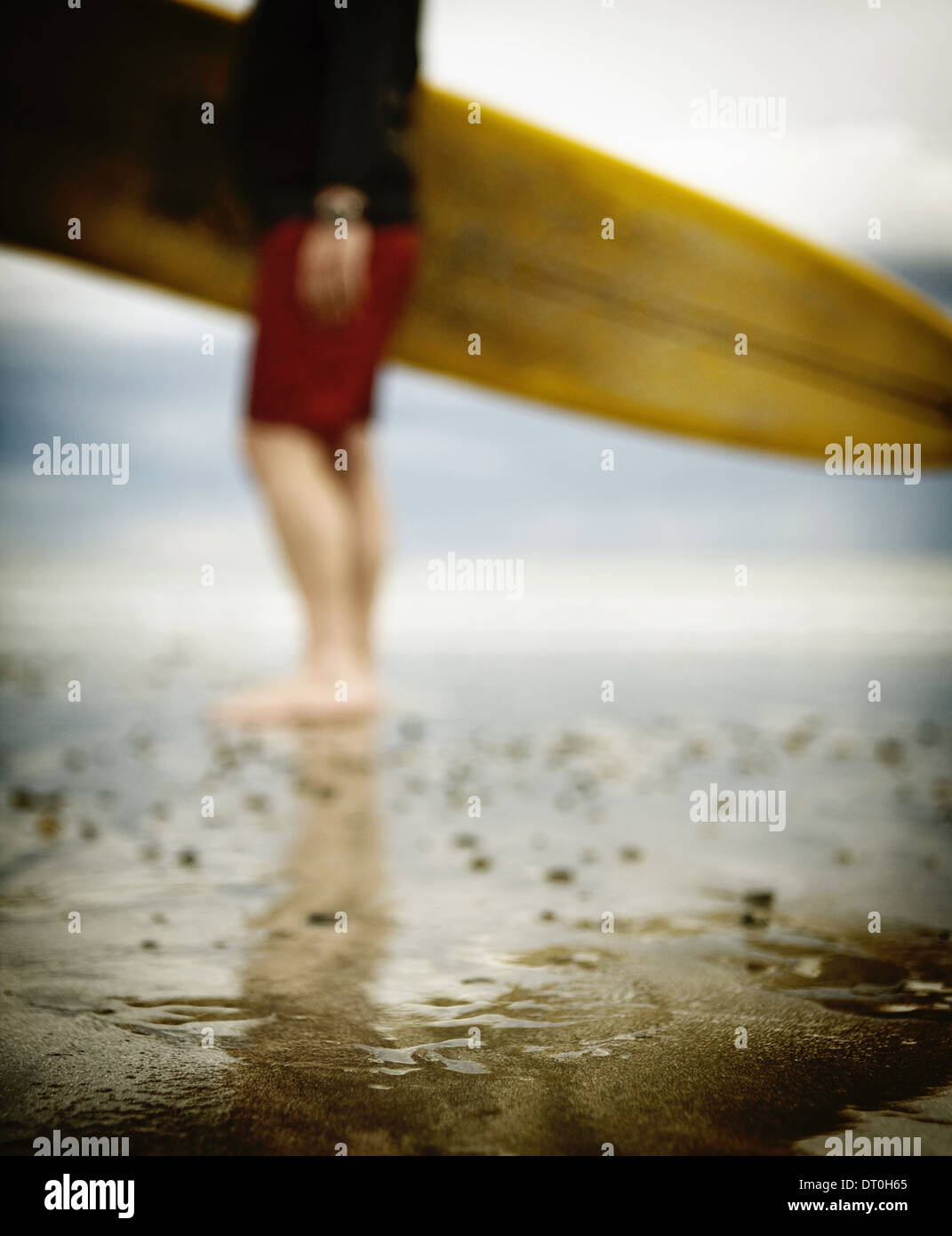 Massachusetts USA middle aged man surfer New England Rockport Beach ...