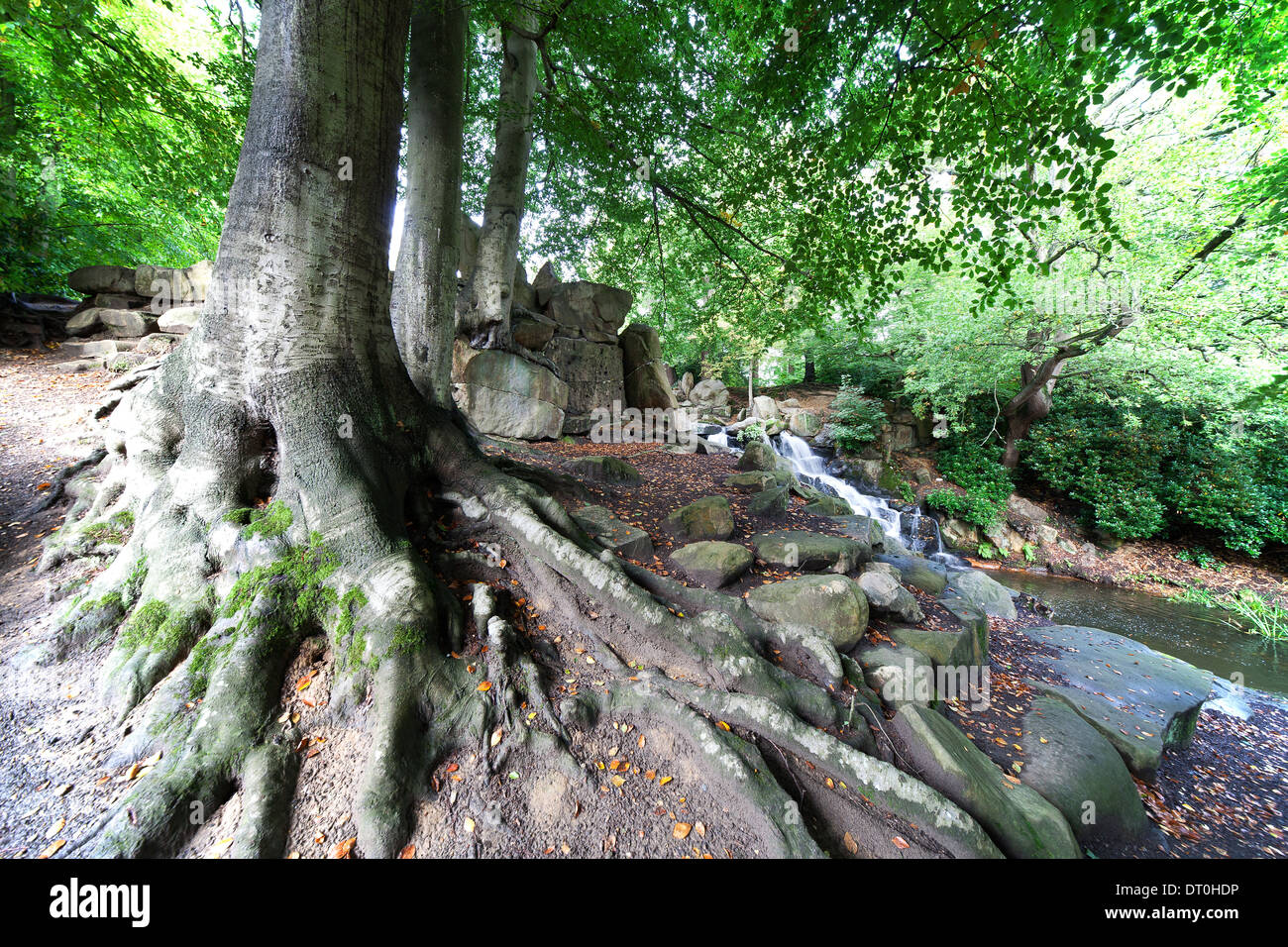 Virginia Water Surrey Stock Photo - Alamy