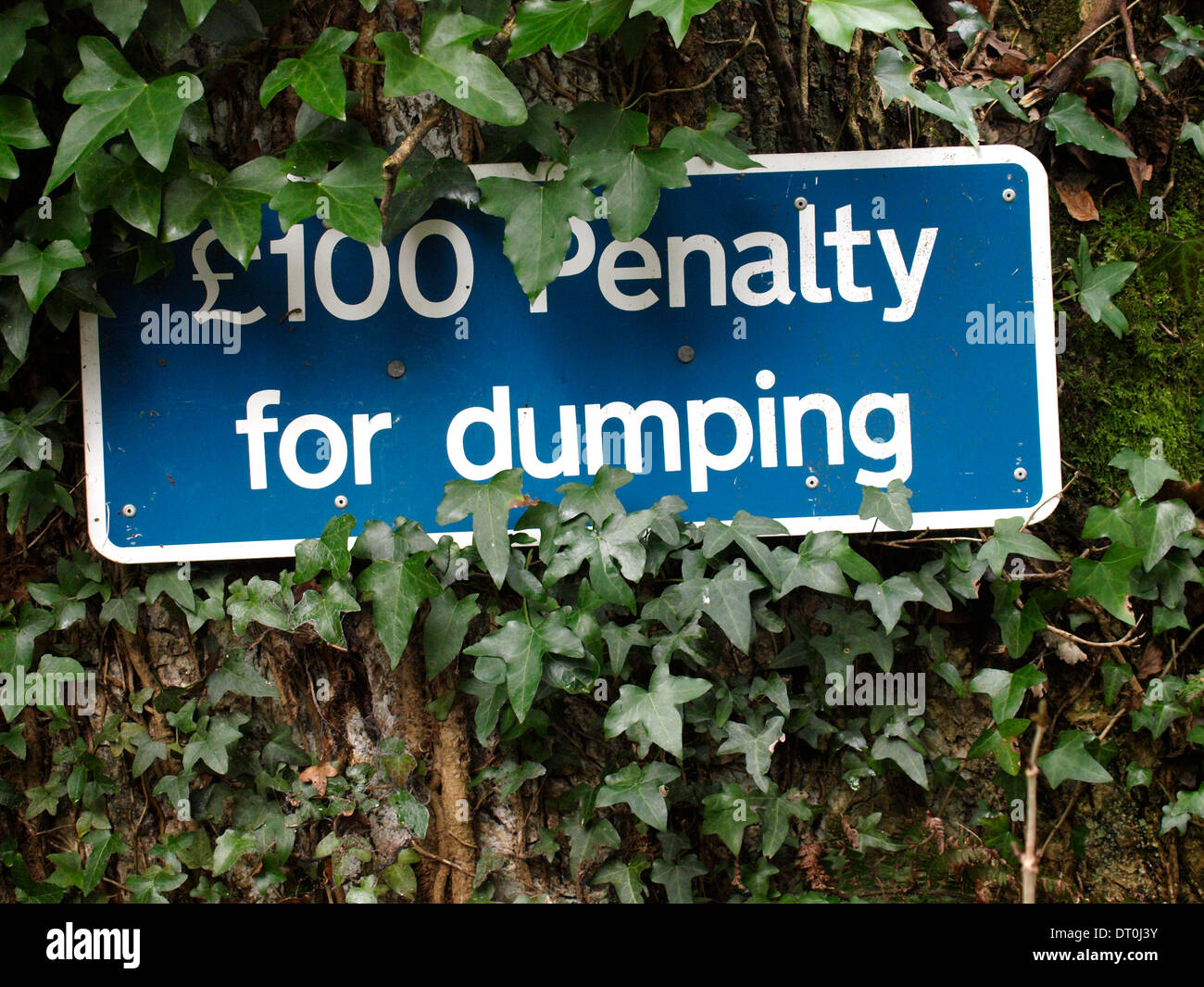 Fixed or attached to tree hi-res stock photography and images - Alamy