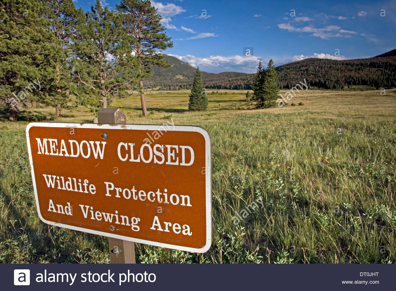 Park Prohibition Sign High Resolution Stock Photography and Images - Alamy