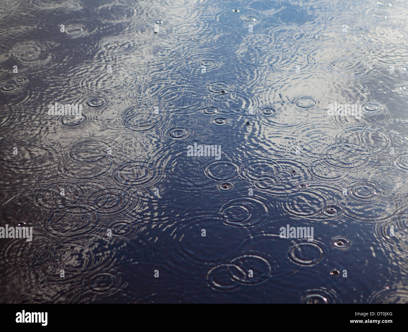 Washington state USA Rain drops and ripples on pool of water Stock ...