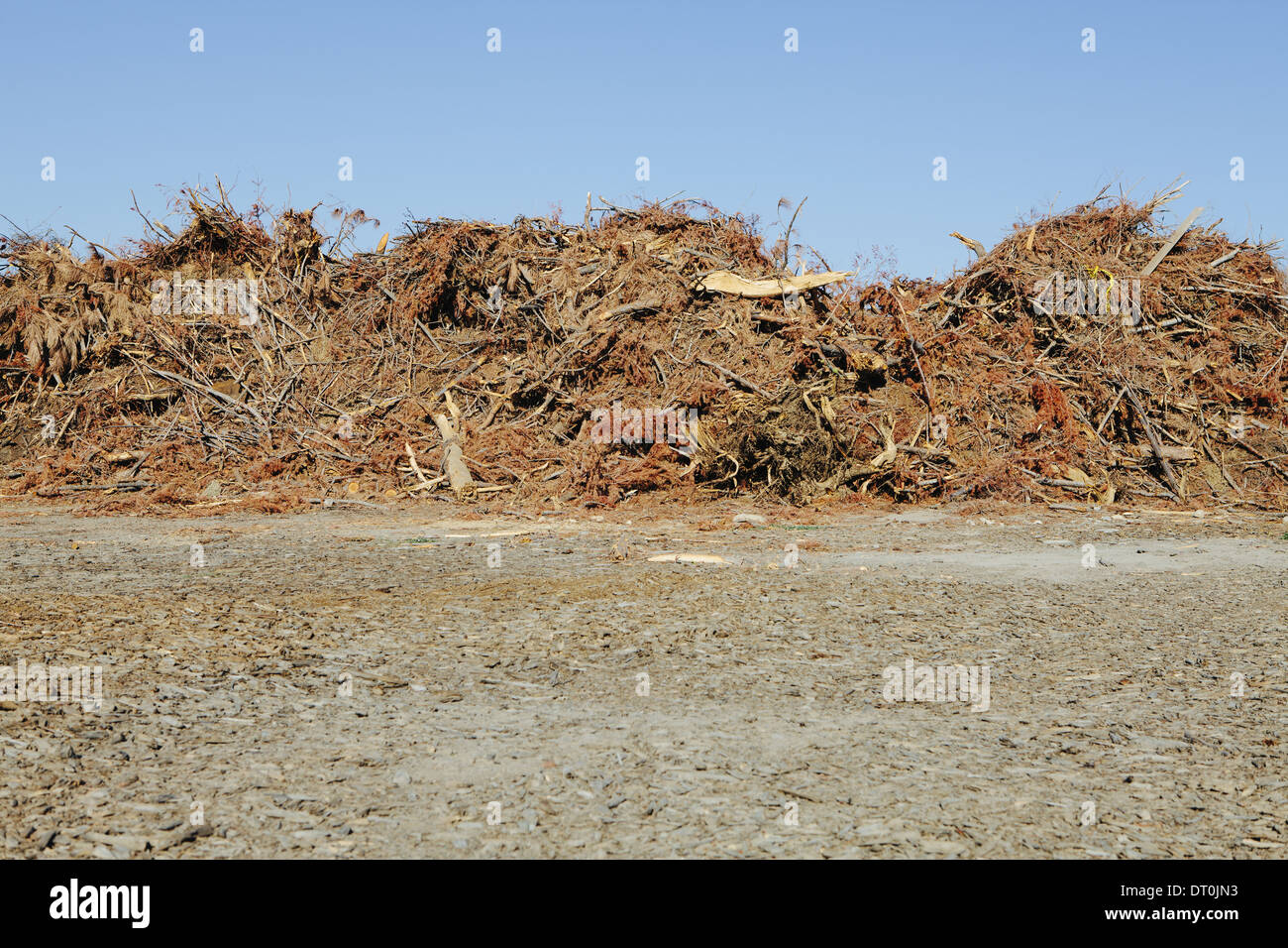 Wood debris hi-res stock photography and images - Alamy