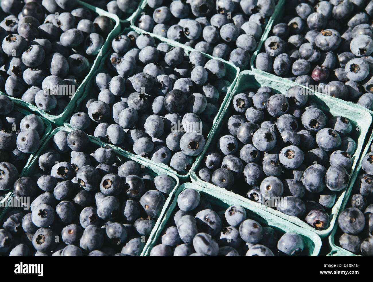 Seattle Washington USA Boxes of organic blueberries farmers market ...