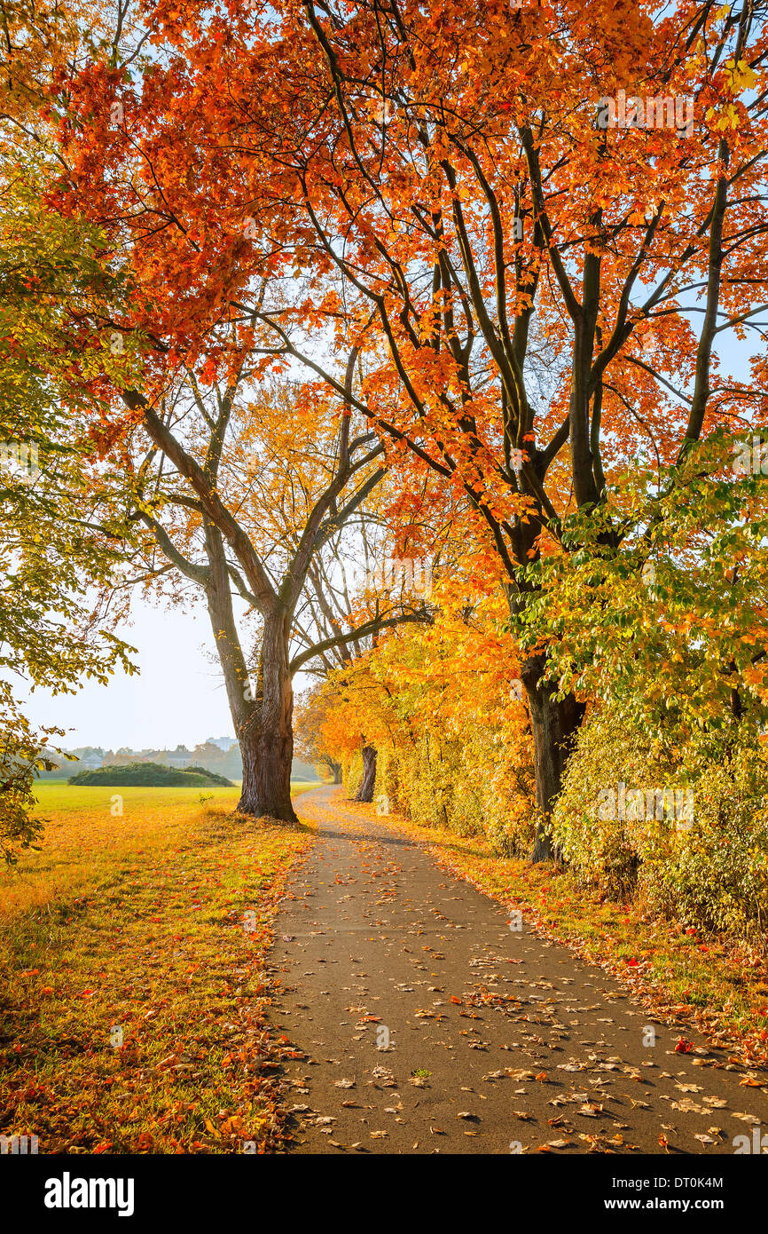 Pathway road hi-res stock photography and images - Alamy