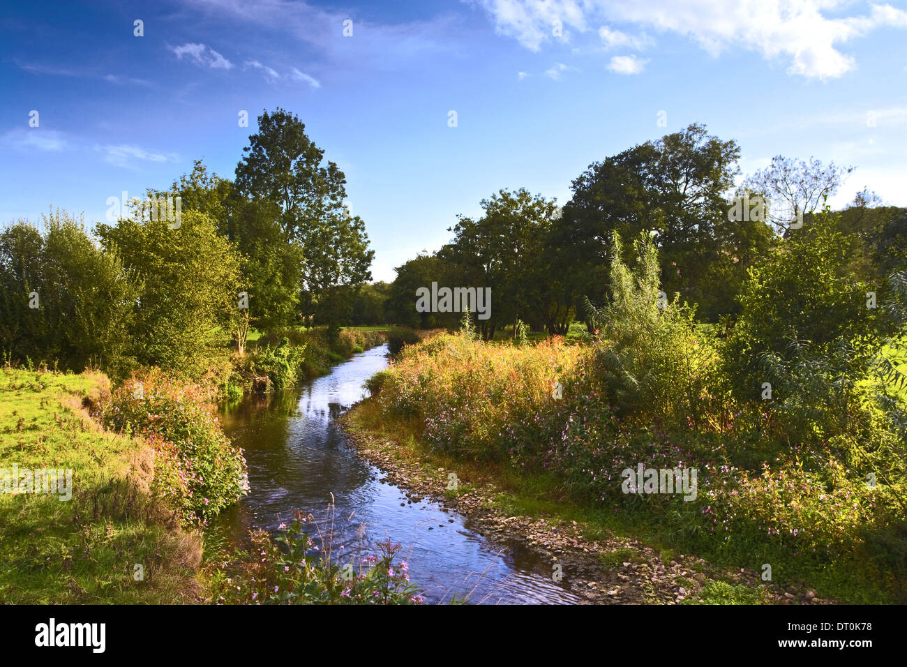 A late summer view along the River Yarty in Devon, England, UK Stock ...