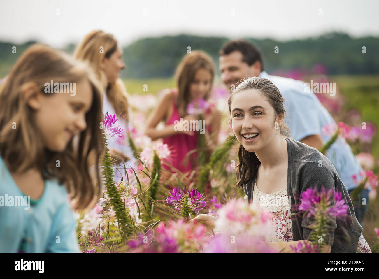Among flowers hi-res stock photography and images - Alamy