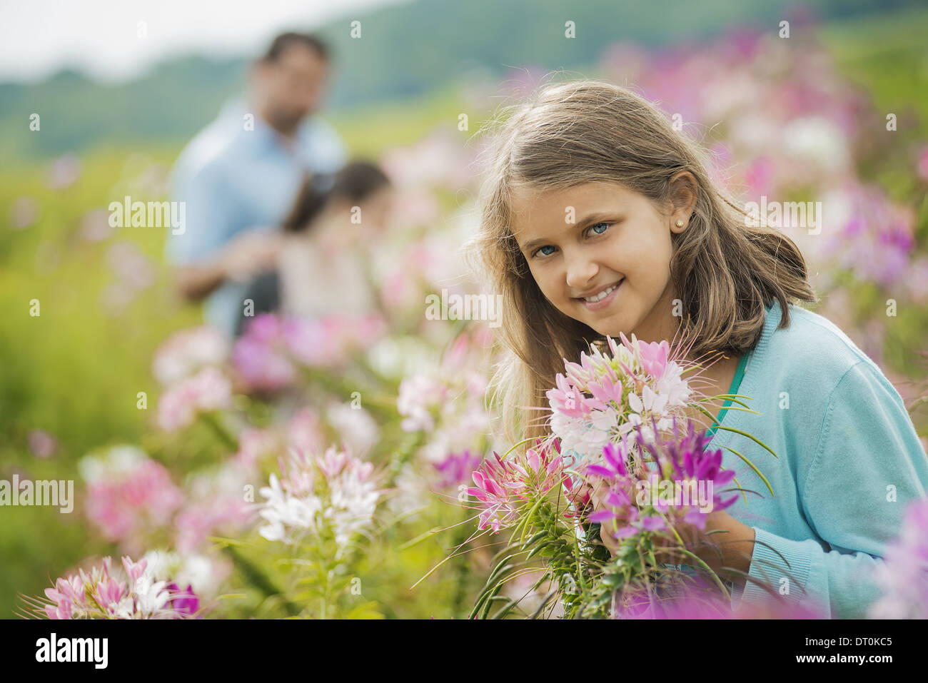 Woodstock New York USA Three people among flowers at organic Flower ...