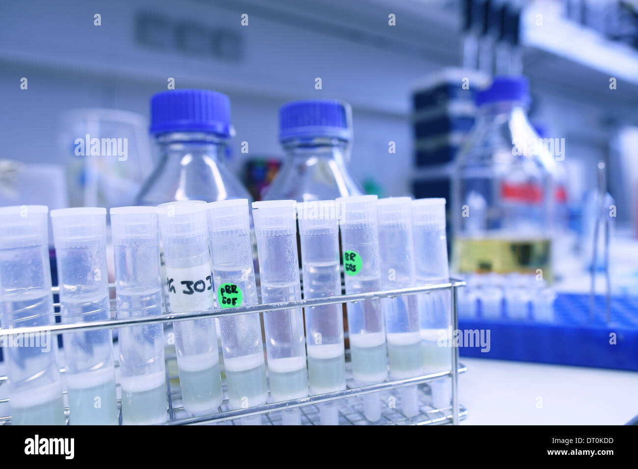 lab tools or work steps in a biological labor of research Stock Photo ...