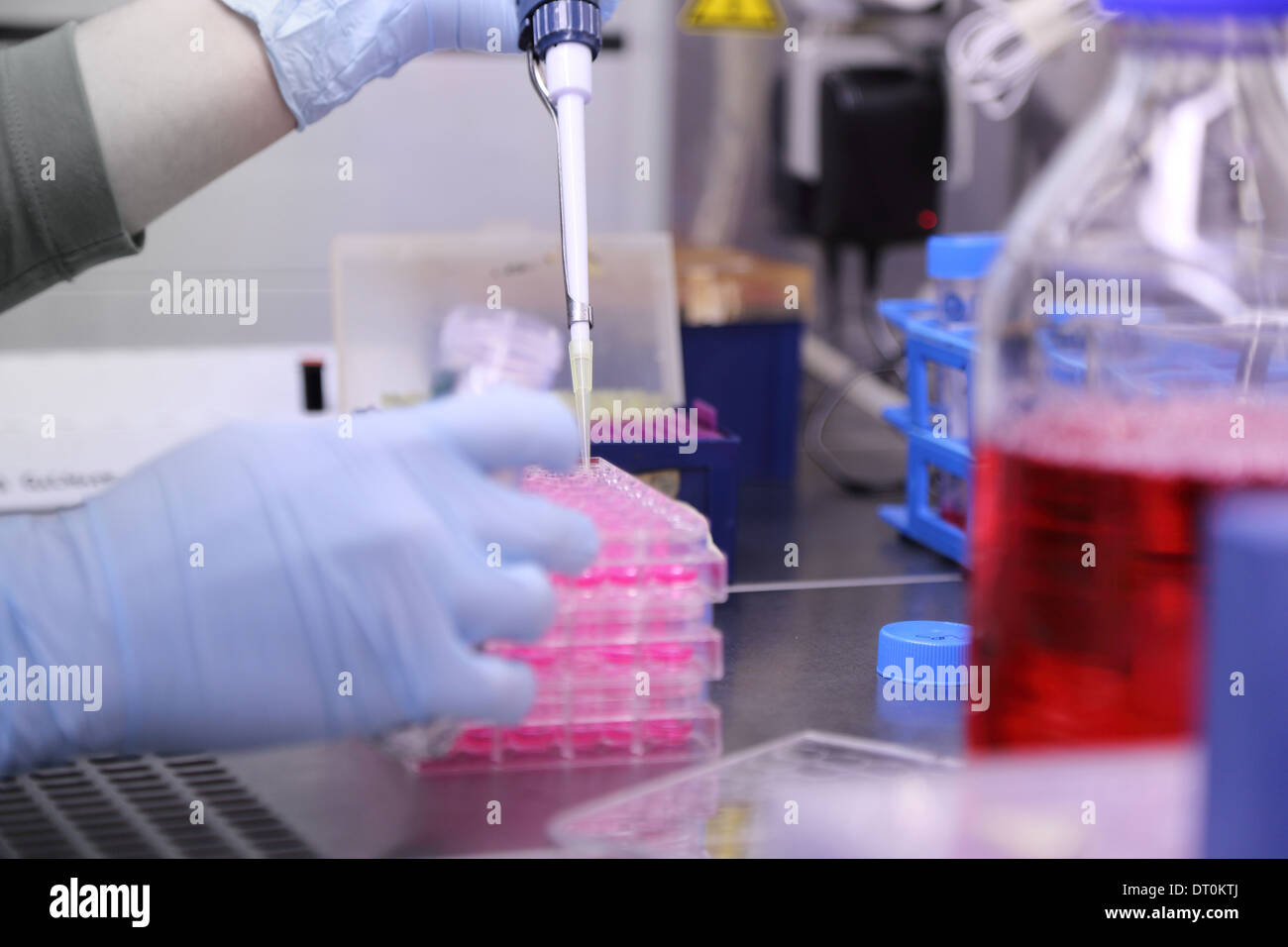 lab tools or work steps in a biological labor of research Stock Photo ...
