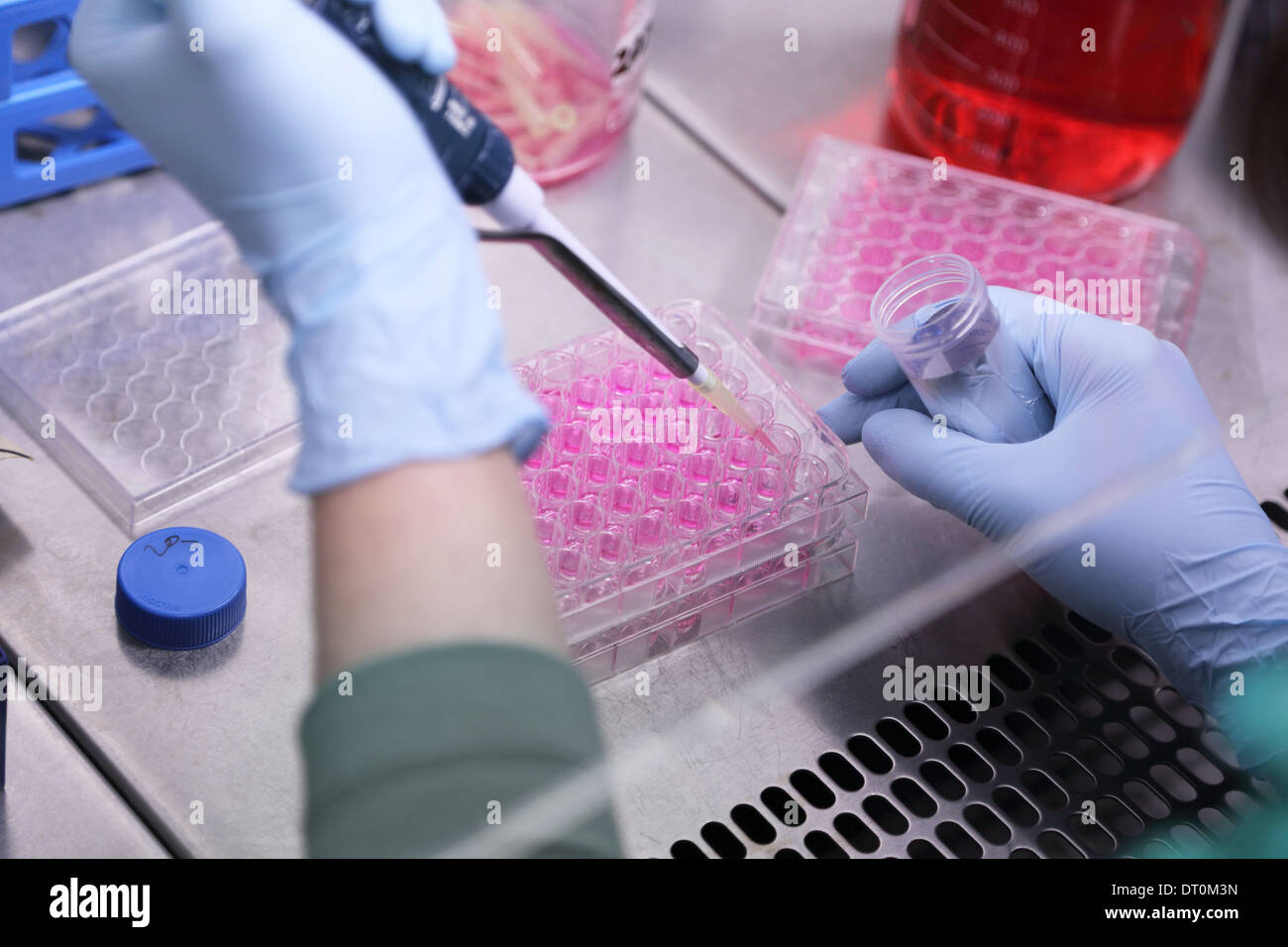 lab tools or work steps in a biological labor of research Stock Photo ...