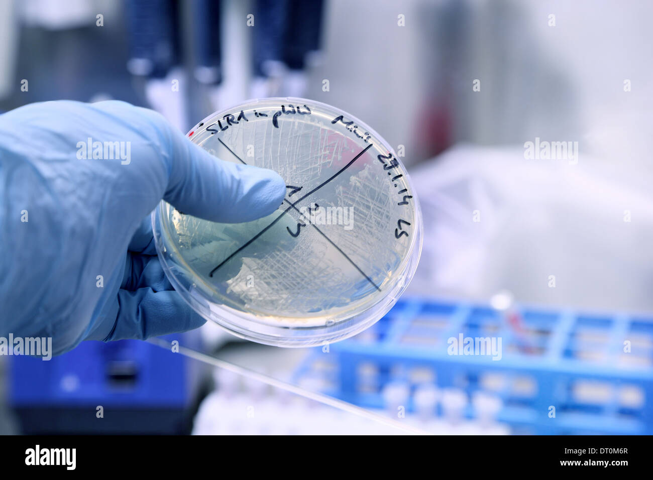 Lab and petri dish hi-res stock photography and images - Alamy