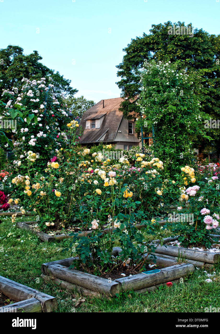 home with rose garden Stock Photo - Alamy