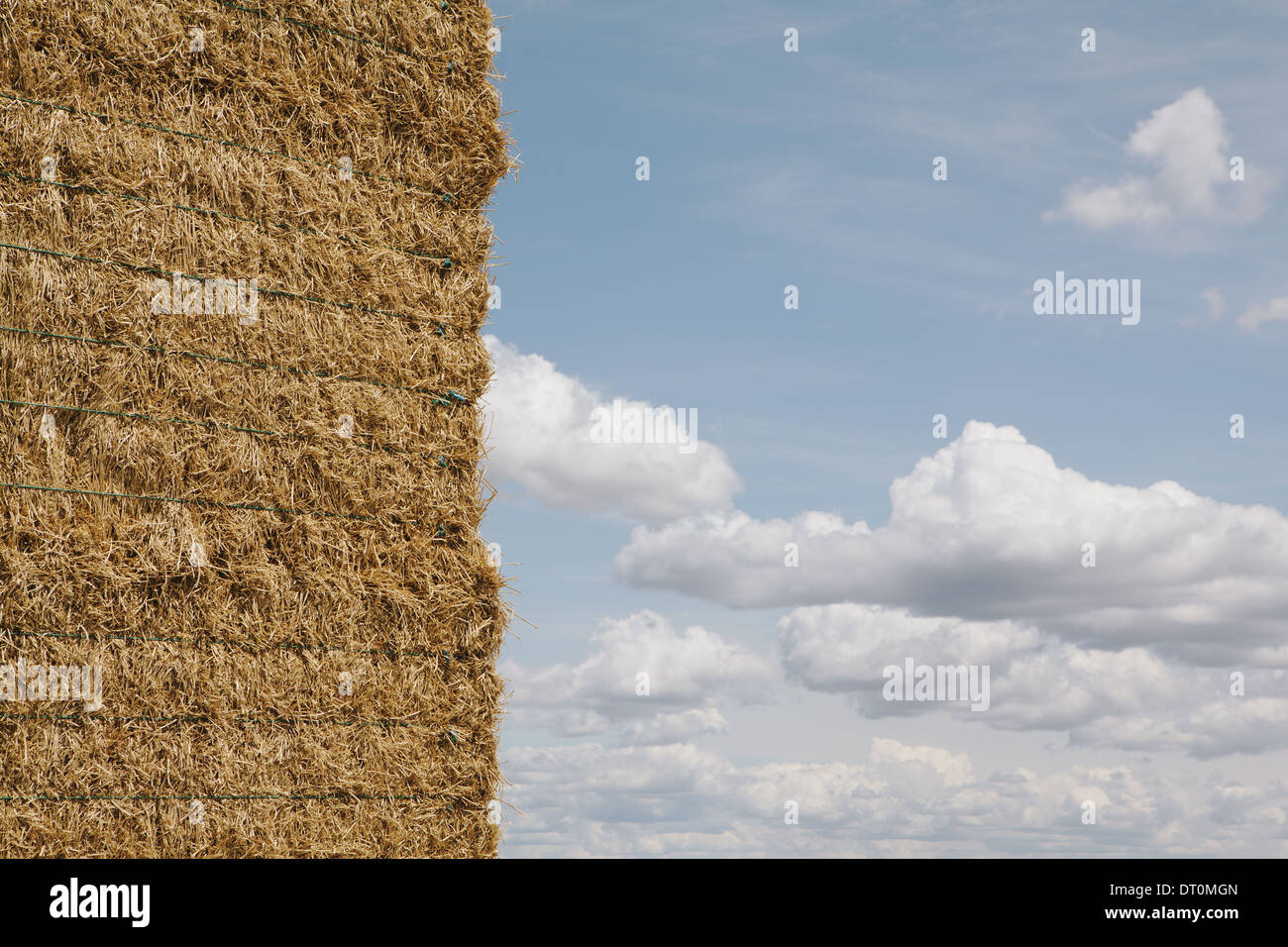 Hay bales in field in hi-res stock photography and images - Alamy