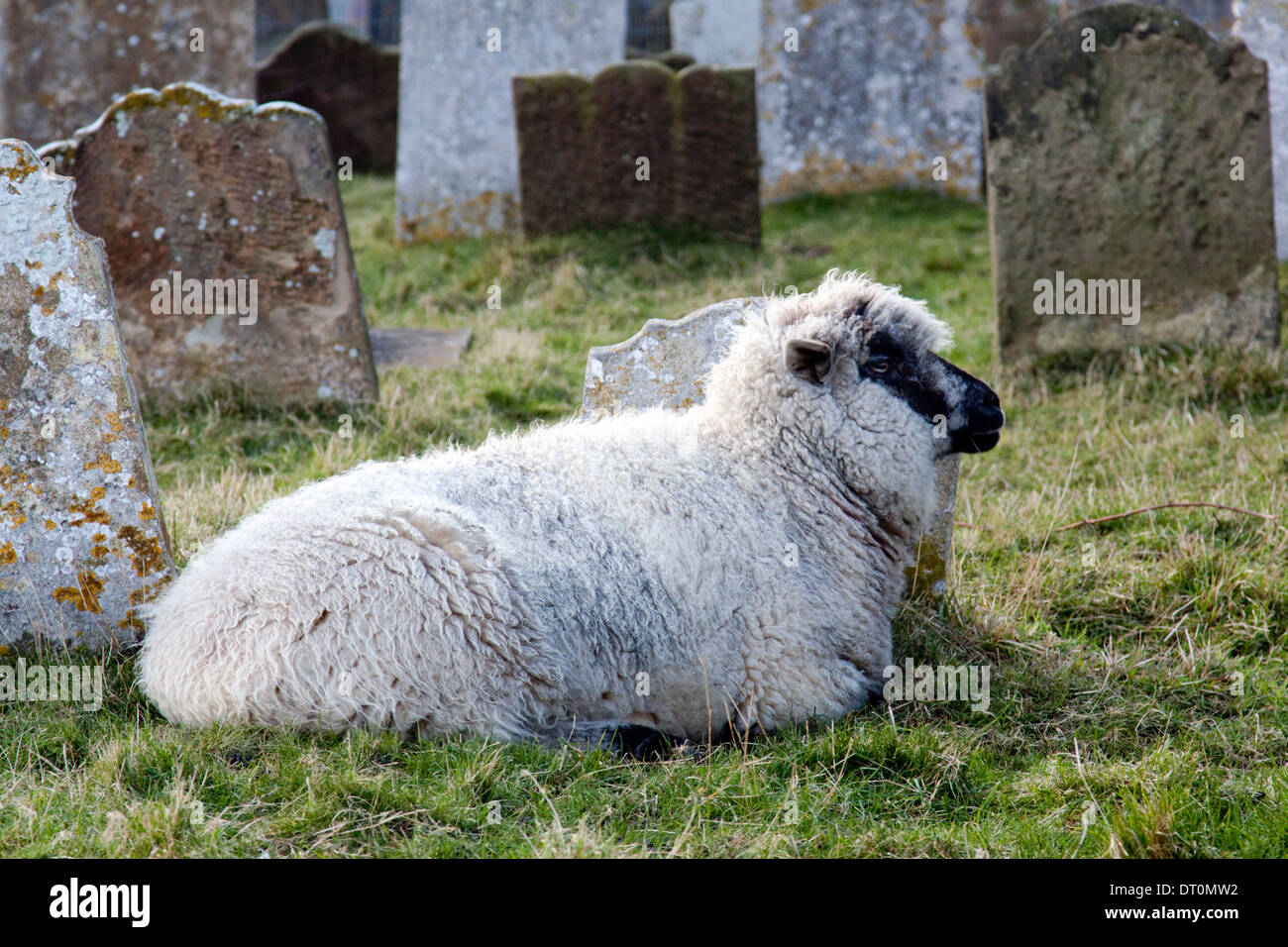 Pakefield church hi-res stock photography and images - Alamy