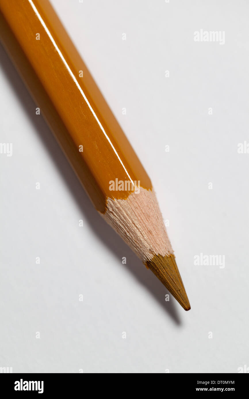 A light brown coloured pencil on a white paper background Stock Photo ...