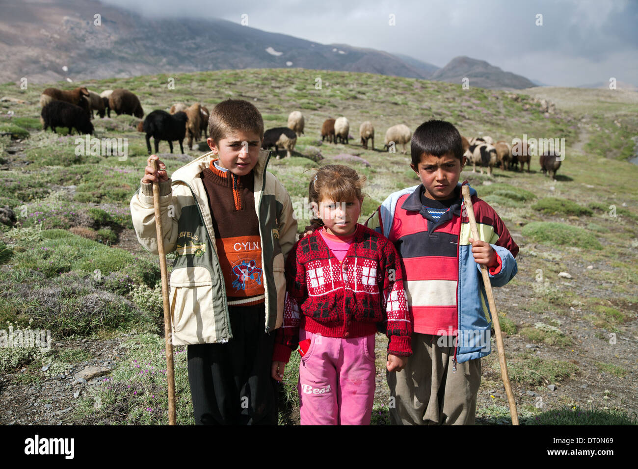 Children shepherd hi-res stock photography and images - Alamy