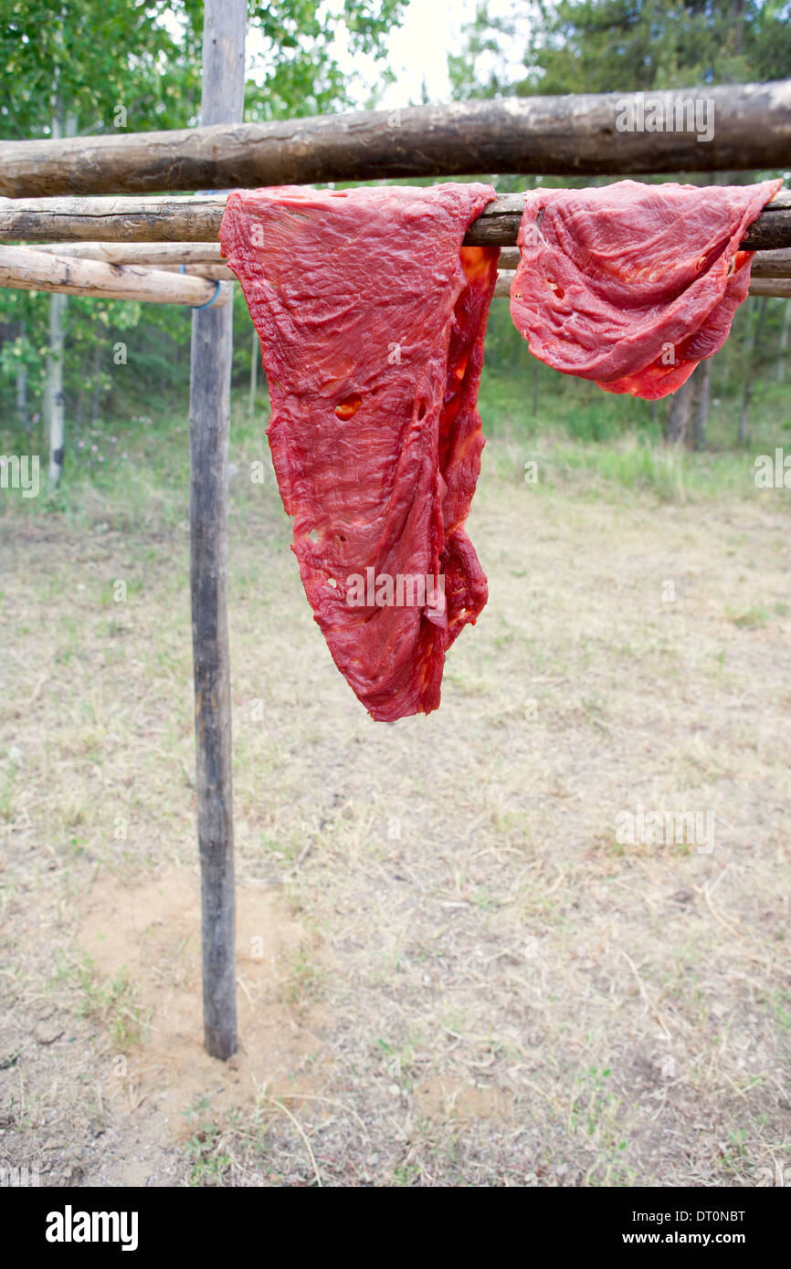 Thin strips of bison meat smoking the traditional way over a fire Stock ...