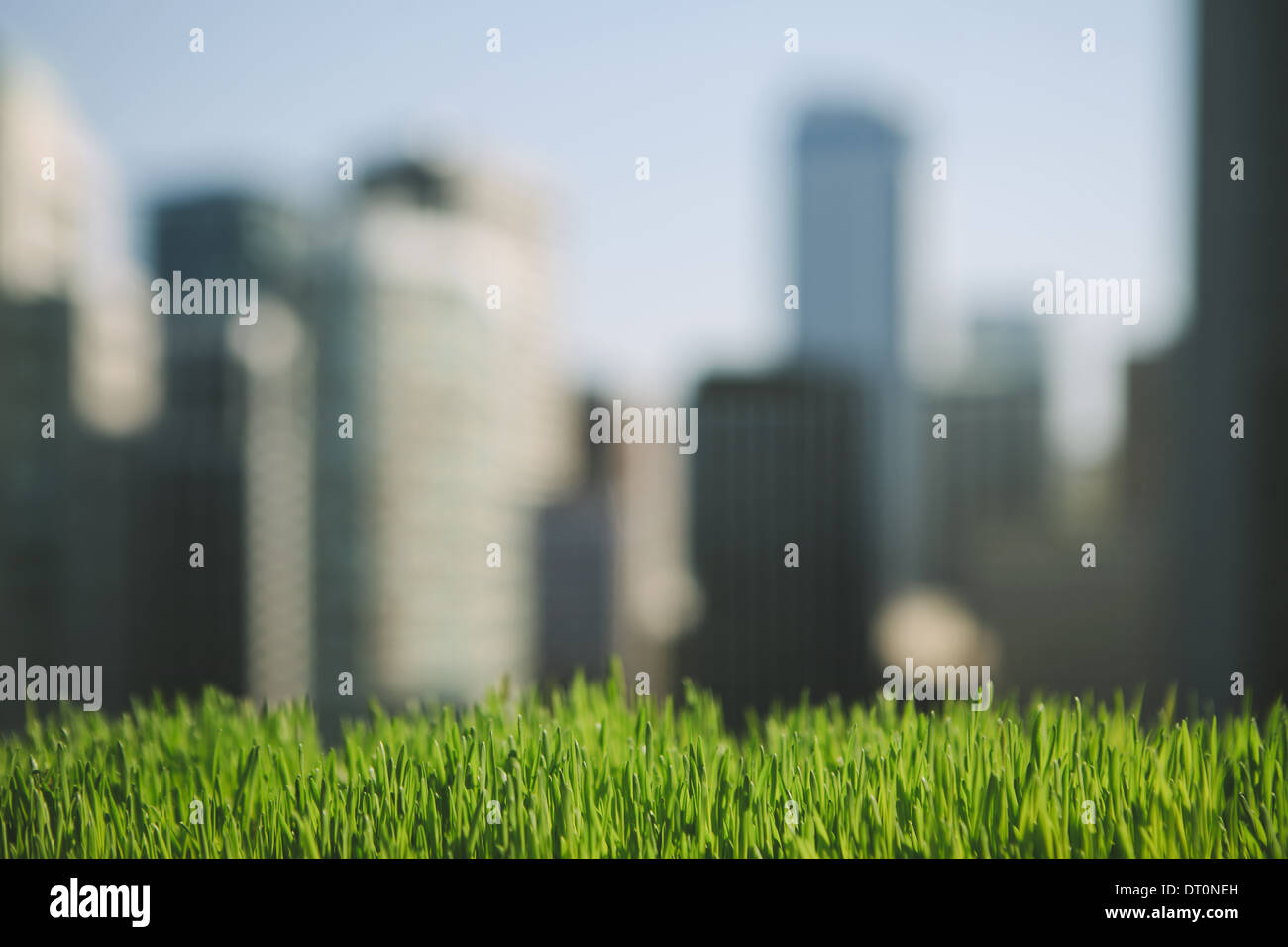 Seattle Washington USA Lush green grass foreground Seattle city skyline ...