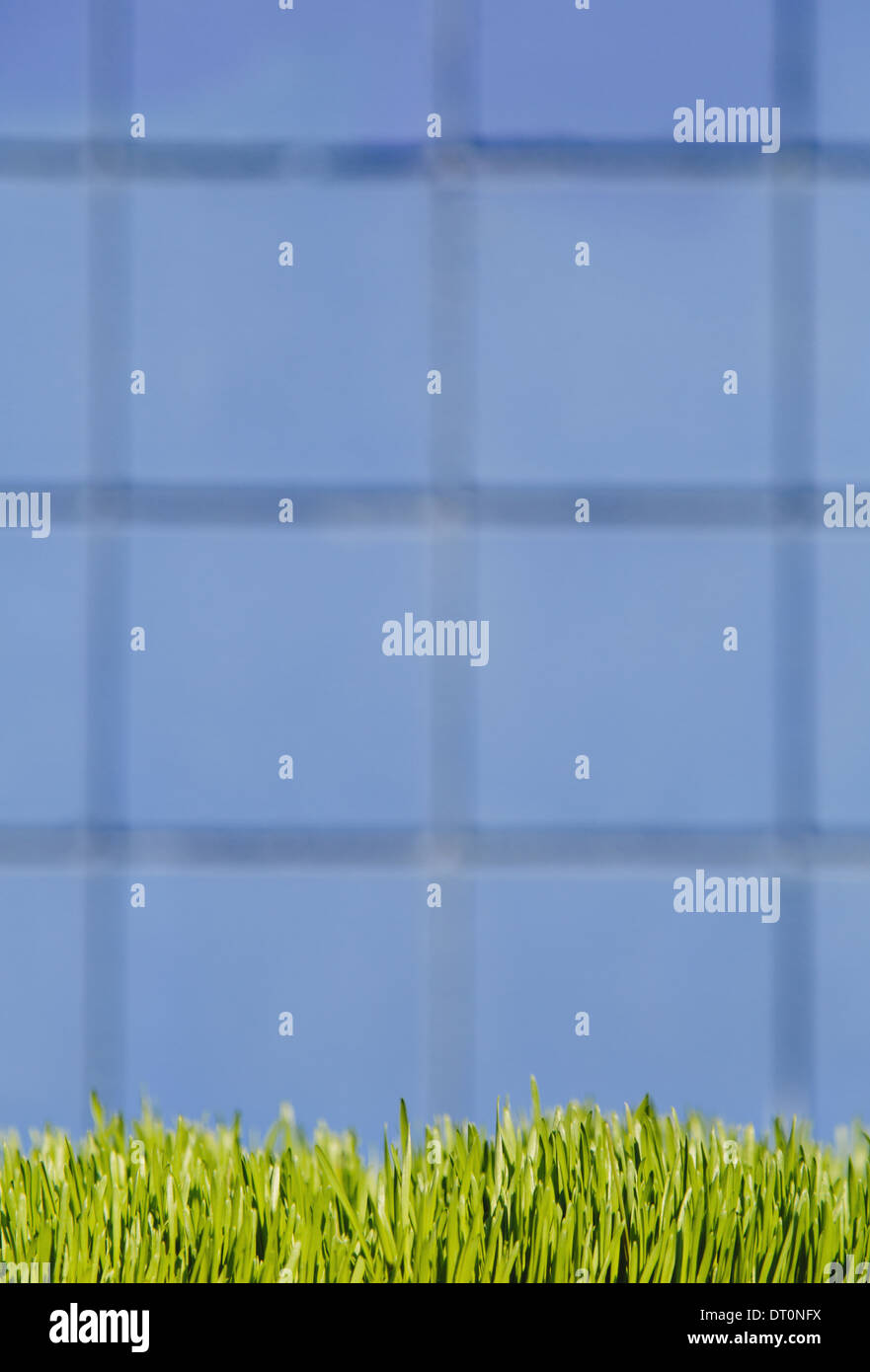 Seattle Washington USA building wall with lush green grass foreground ...