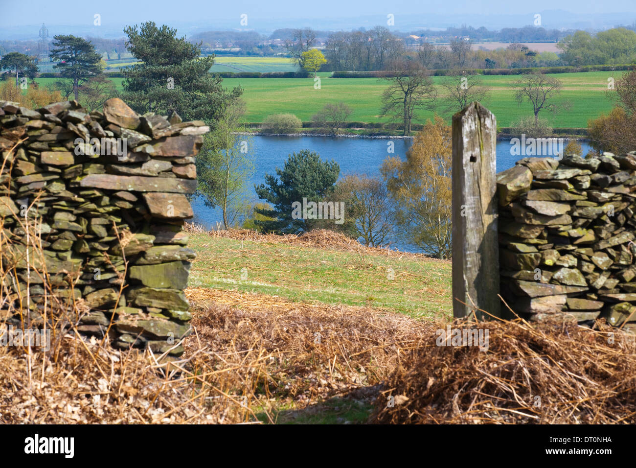 Lady jane grey bradgate park ruins hi-res stock photography and images ...