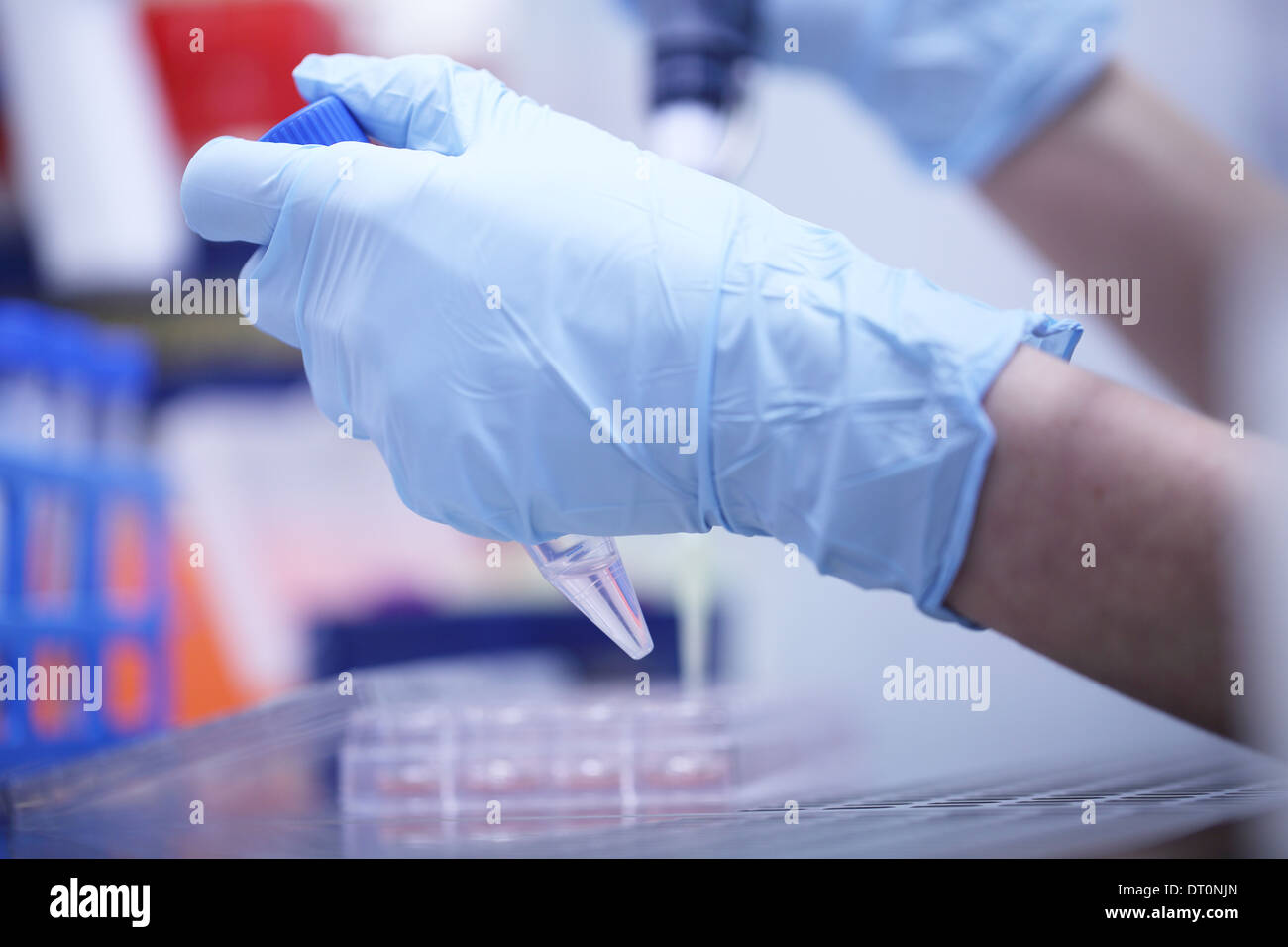 lab tools or work steps in a biological labor of research Stock Photo ...