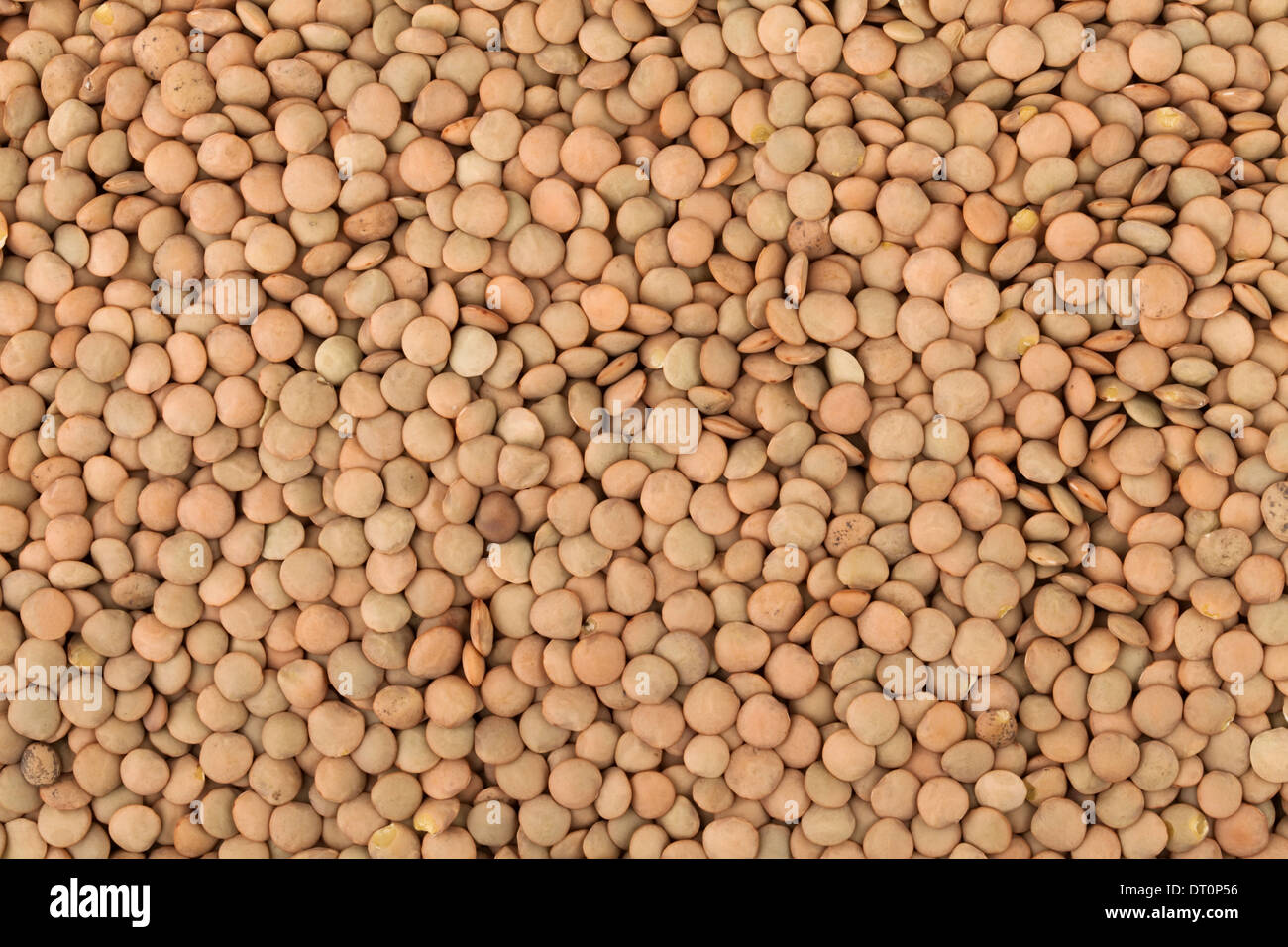 Closeup brown hi-res stock photography and images - Alamy