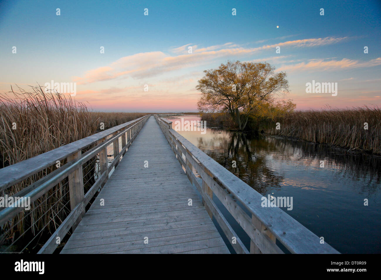 Point pelee national park hi-res stock photography and images - Alamy