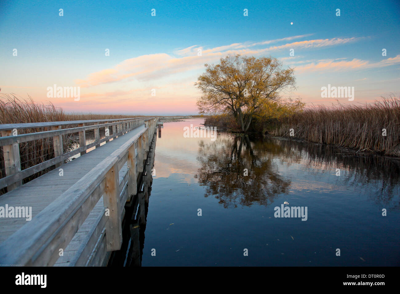 Point pelee national park hi-res stock photography and images - Alamy