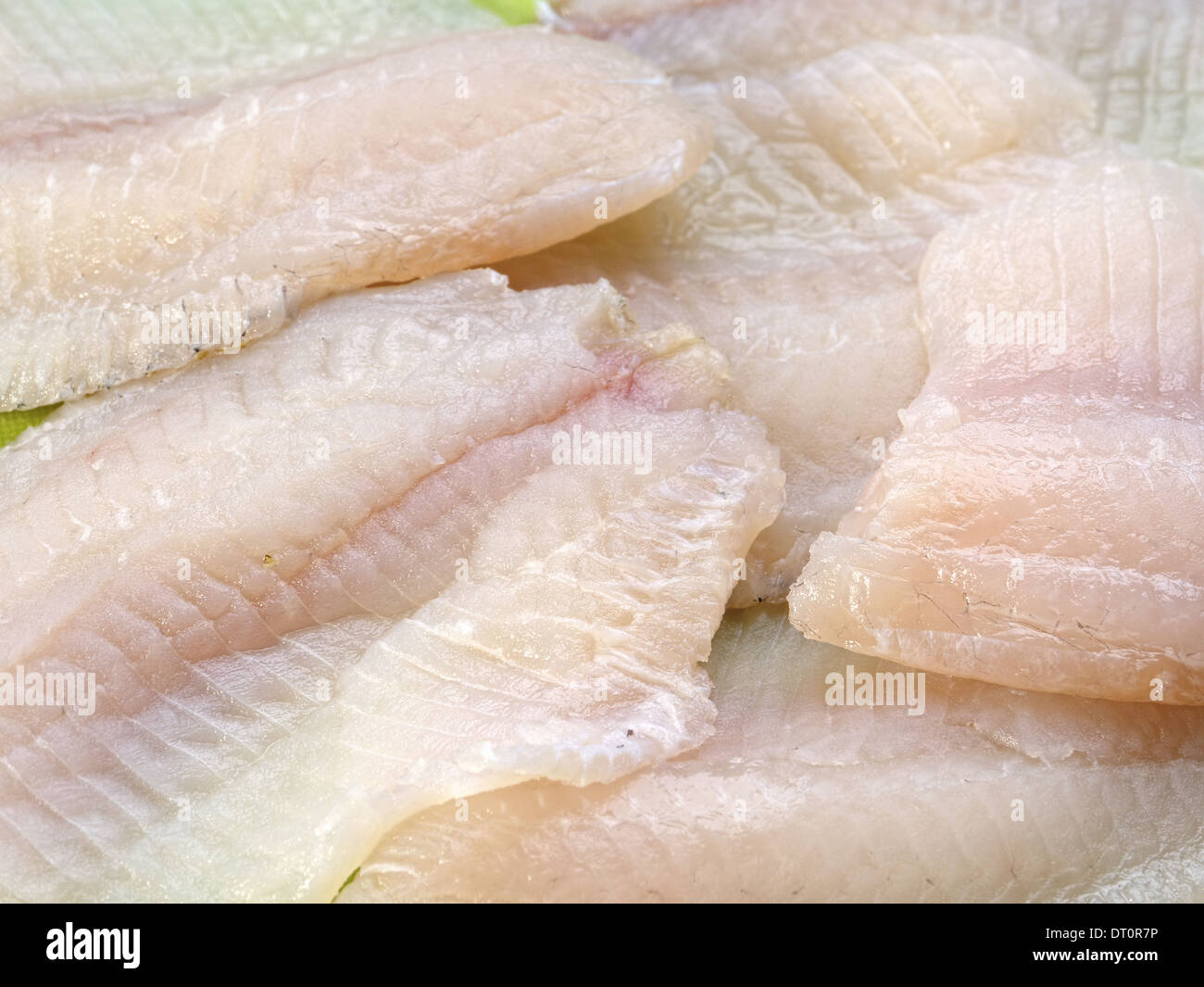 Tilapia fish hi-res stock photography and images - Alamy