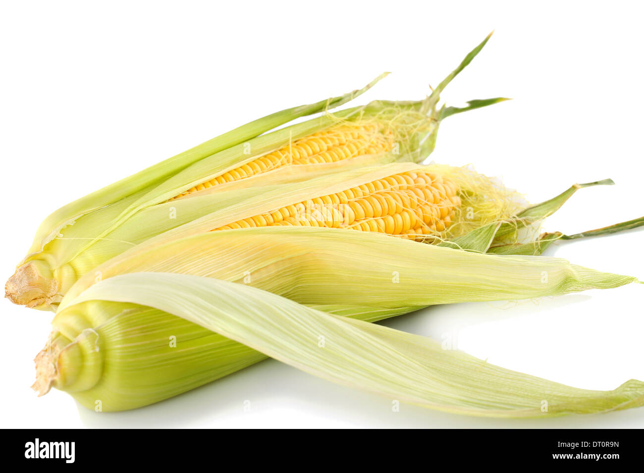 Corn cobs isolated on white background Stock Photo - Alamy